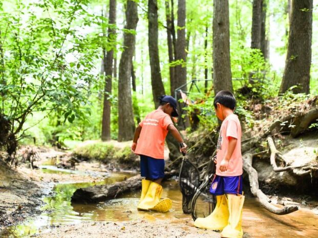 Camp Blue Sky - LeafSpring School at Three Chopt