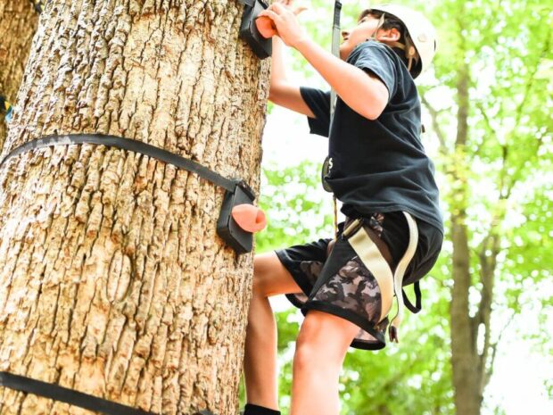 Camp Blue Sky - LeafSpring School at Three Chopt